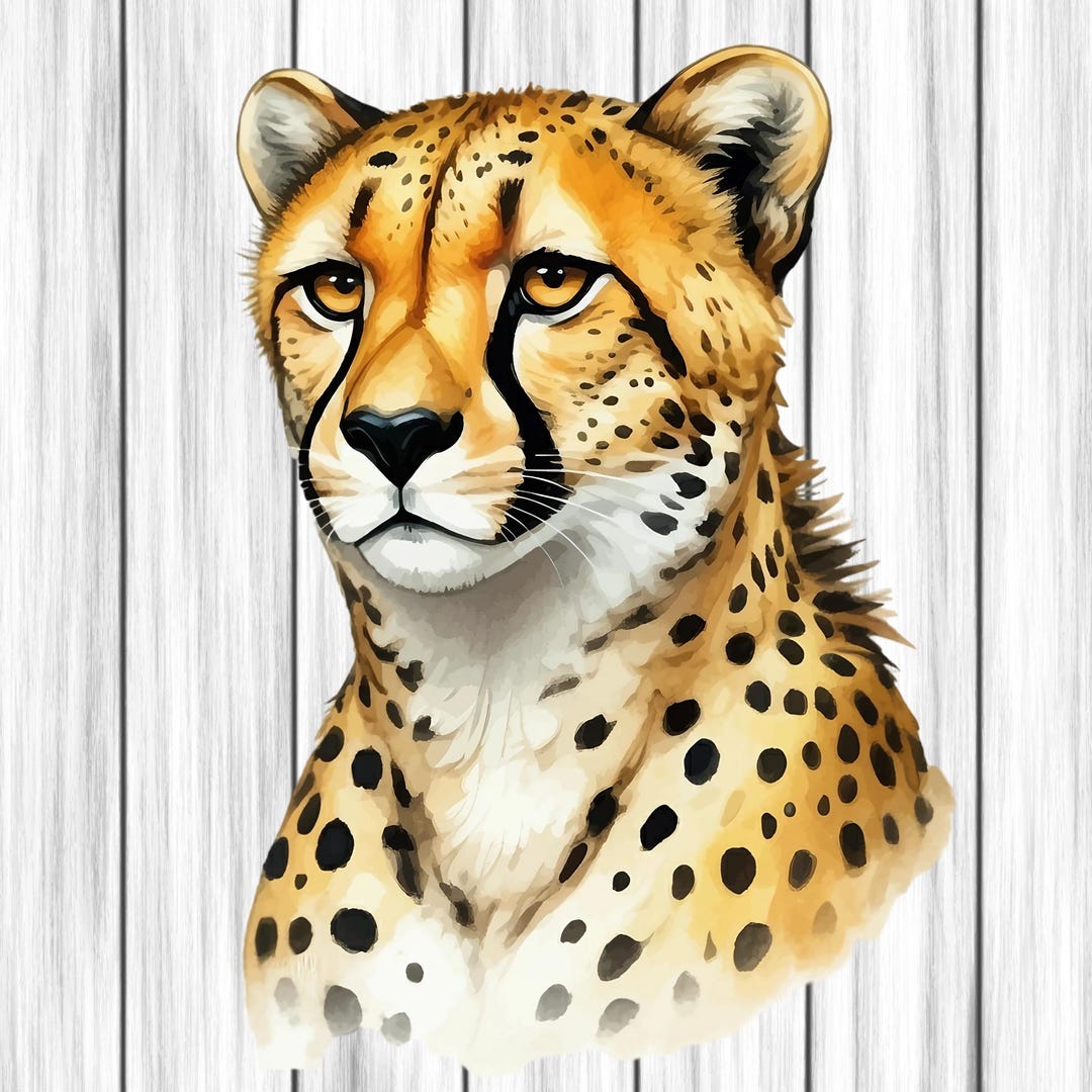 Cheetah Animal Clipart, Nursery Art, Animal Clipart, Cute Watercolor ...