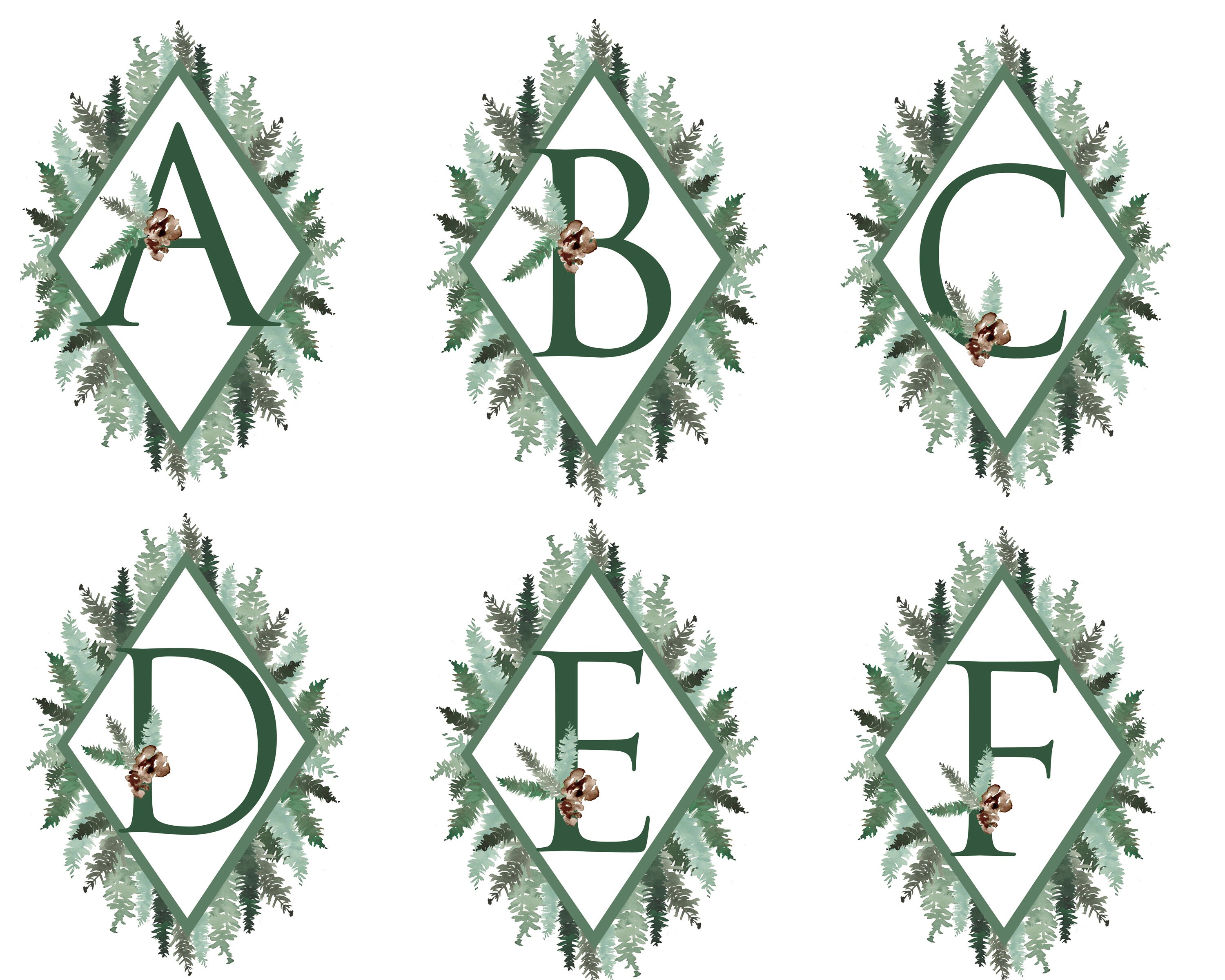 Watercolor Evergreen Pine Frame Letters Alphabet Initials Clip Art ...