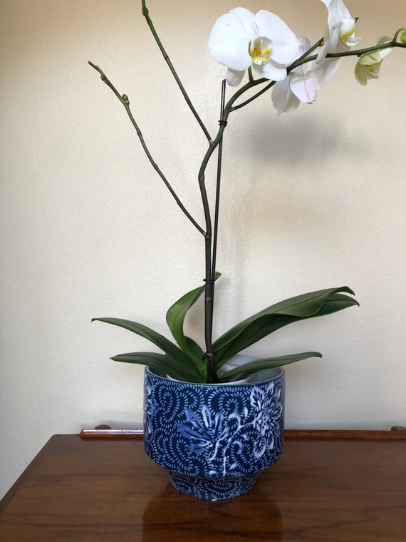 Blue and White Batik Style Pot With Floral Print 8 1/4W X 6 | Etsy