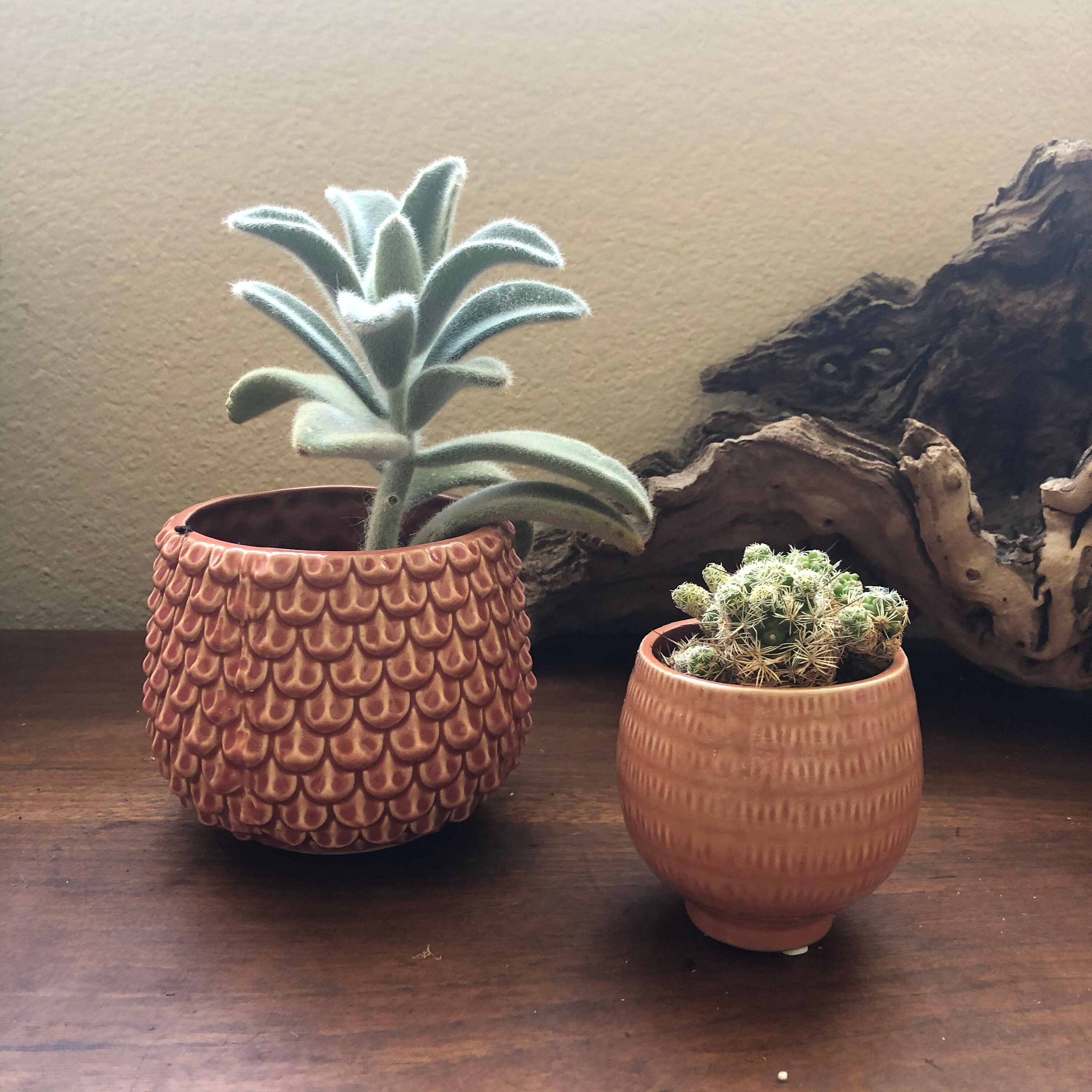 Peach colored fish scale flower pots 5 1/4 inch diameter by 4 | Etsy