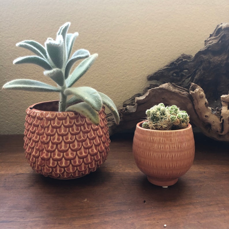 Coral Colored 3 Inch Textured Planter - Etsy
