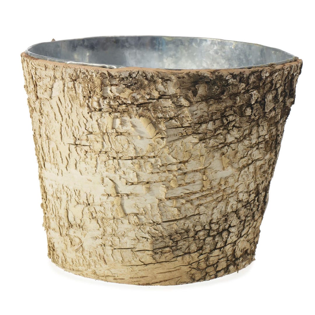 Birch Pot With Zinc 7"x 6" - Etsy