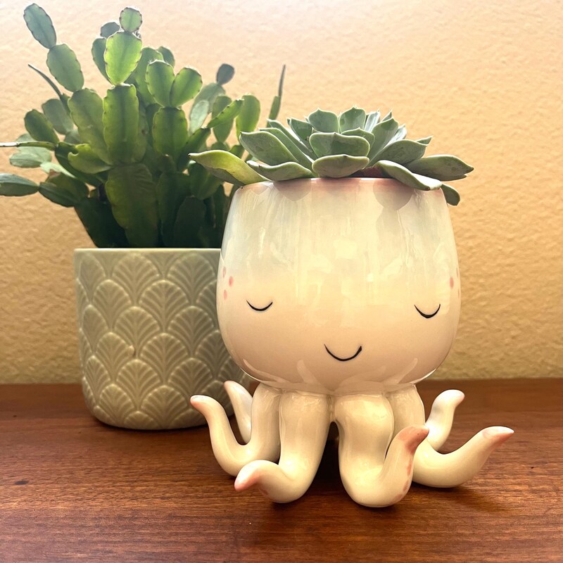 Octopus Planter - Etsy