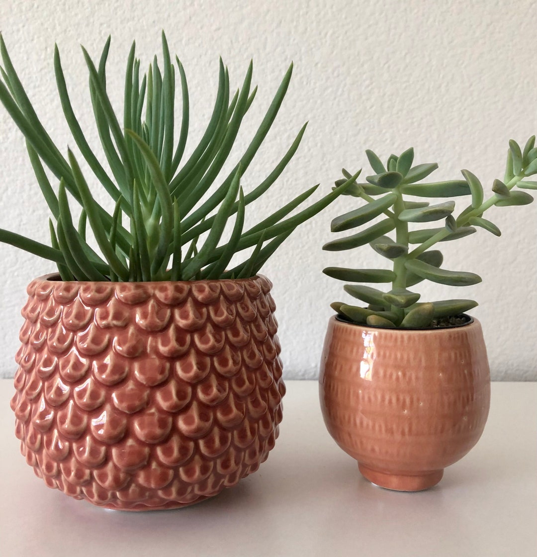 Coral Colored 3 Inch Textured Planter - Etsy