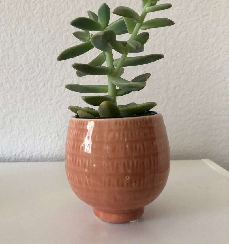 Coral Colored 3 Inch Textured Planter - Etsy