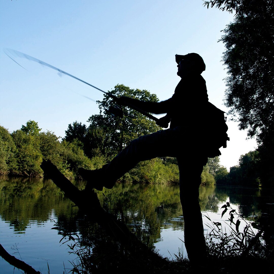 Angler in Action, Shadow. Square Fine Art Print, Wall Art Decor Photo ...