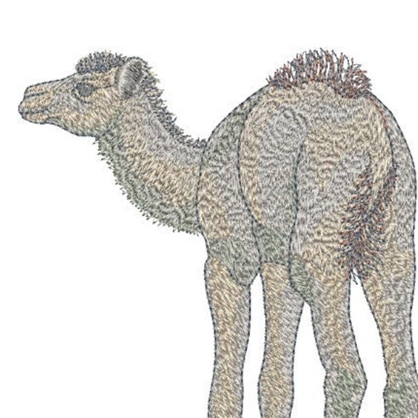 Camel Art - Etsy
