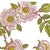 Briar Border 2 Embroidery Motif 15 Golden Classic by Sue Box Machine ...