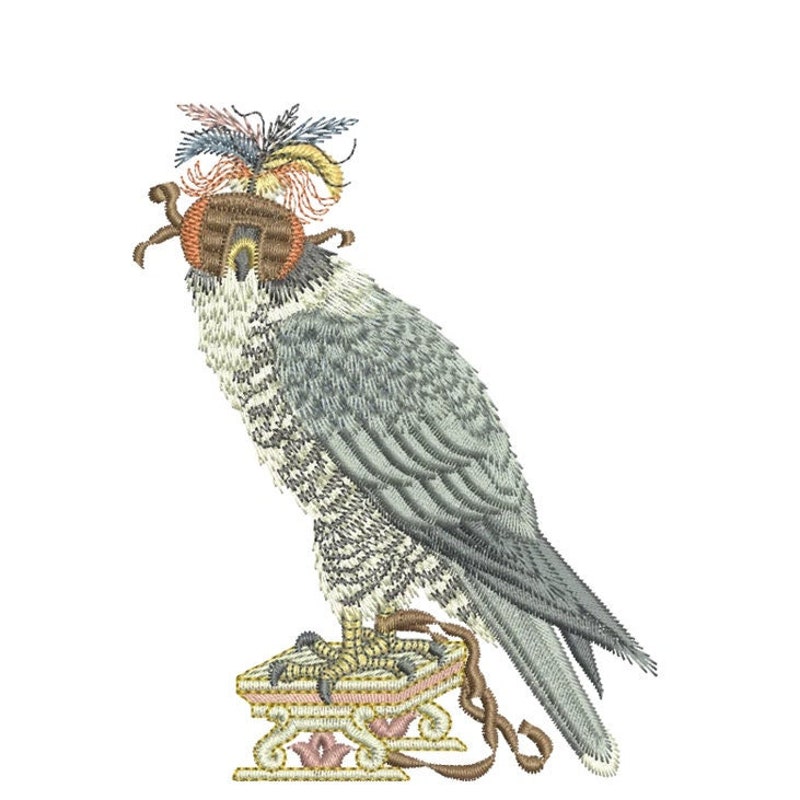 Falcon Embroidery Design - Etsy