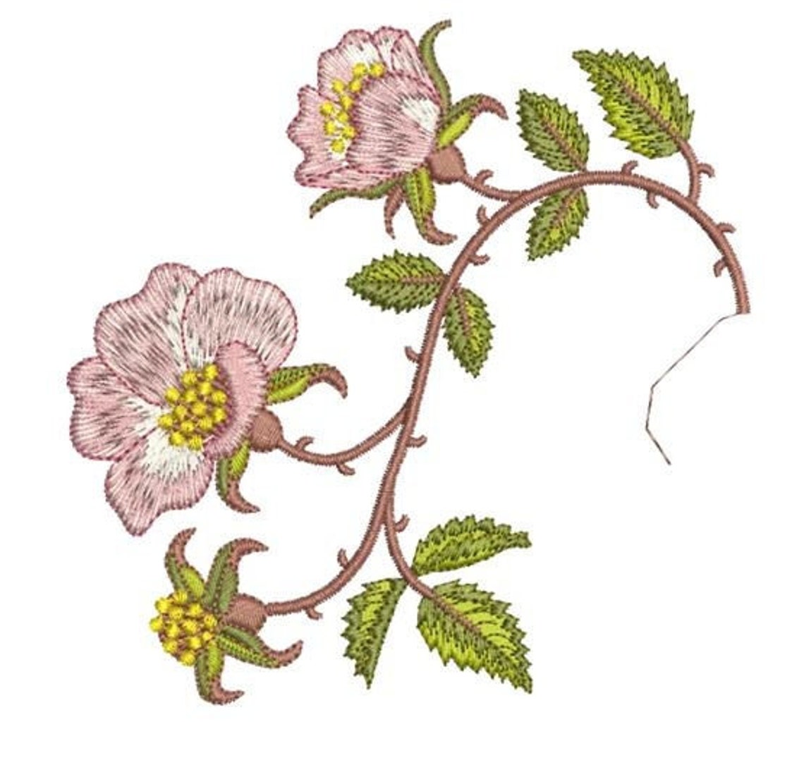 Briar Border 2 Embroidery Motif 15 Golden Classic by Sue - Etsy