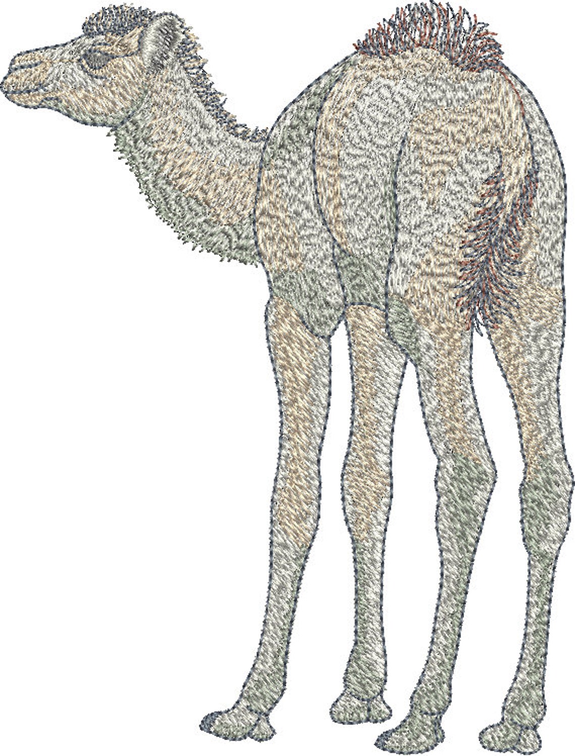 Camel Handsome Arabian Machine Embroidery Design by Sue Box - Etsy