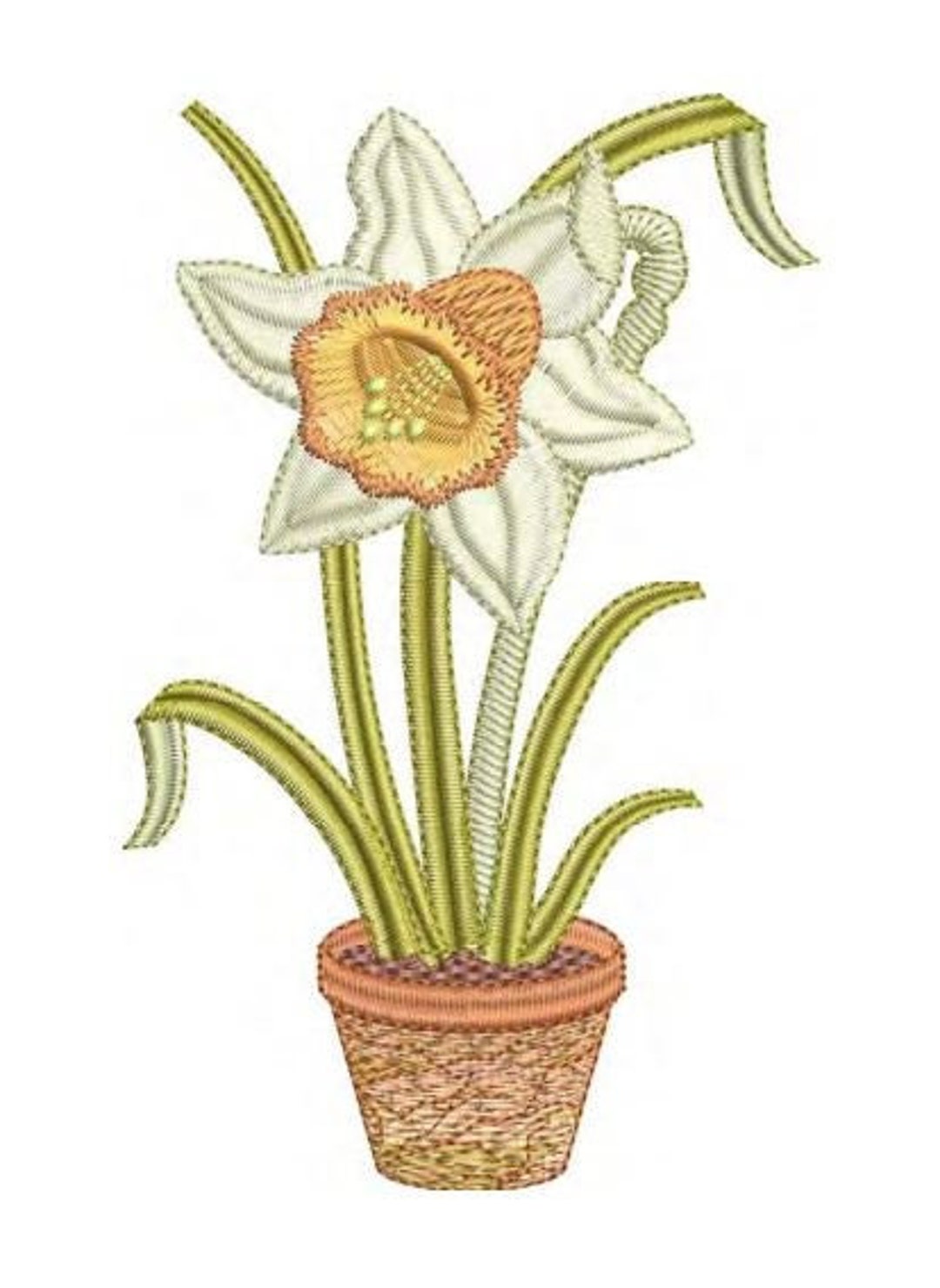 Daffodil Flower Bulb 2 Embroidery Motif - 17 - Embroidery Favourites by ...