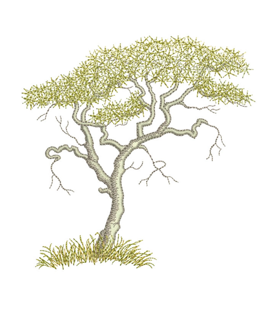Acacia Tree Embroidery Motif - 18 - by Sue Box in 2 Sizes - Etsy