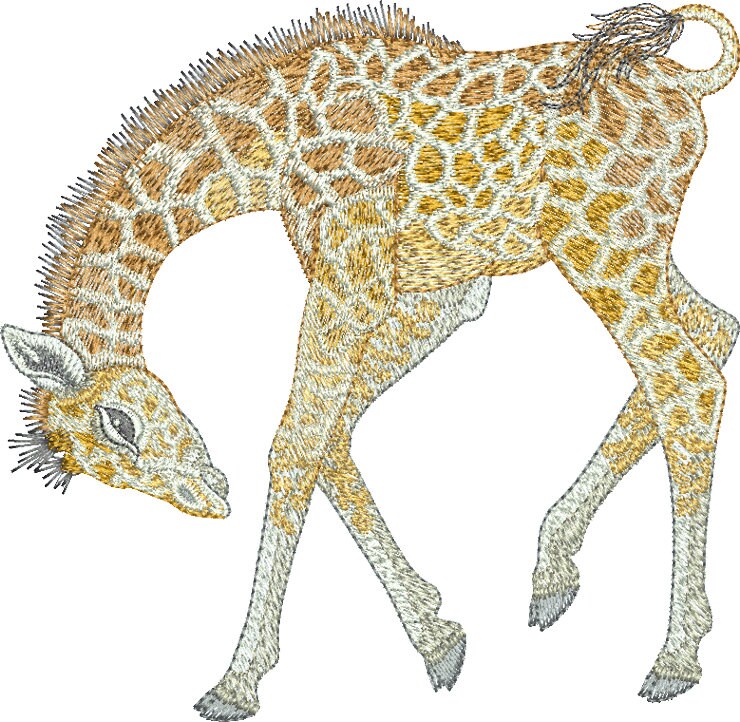 Giraffe Embroidery Design – Zoo Babies, Sue Box (digital Download) - Etsy