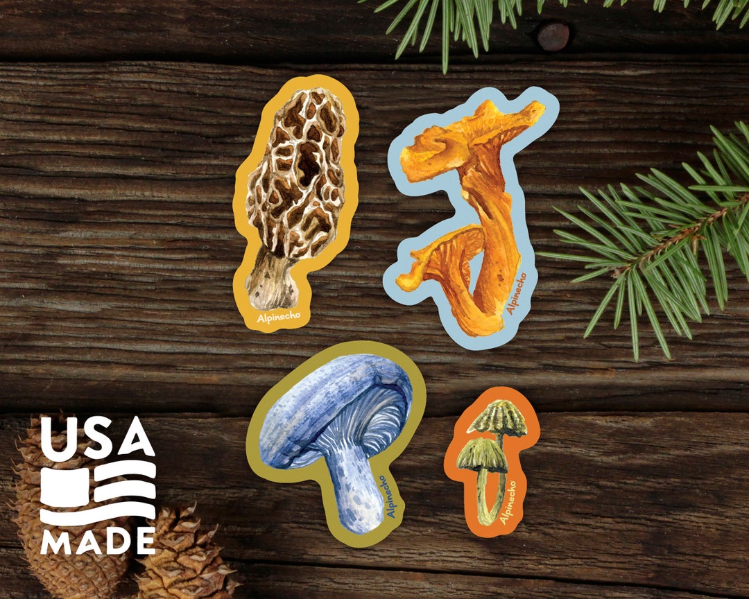 Mushrooms STICKER / Waterproof Vinyl Fungi Morel Chanterelle Foraging ...