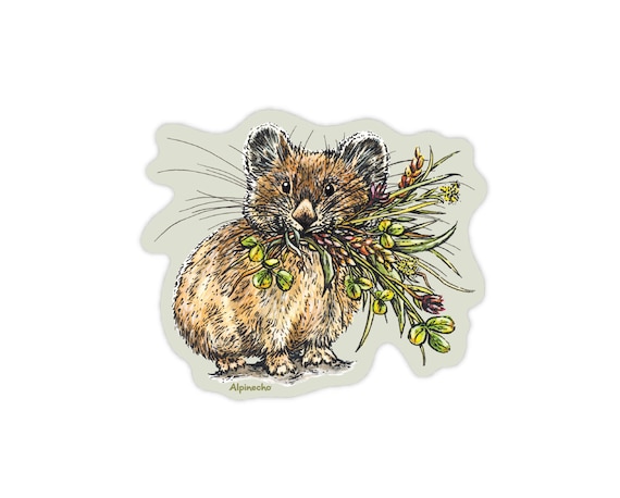 Pika STICKER / Waterproof Vinyl Backpacking Camping Nalgene | Etsy