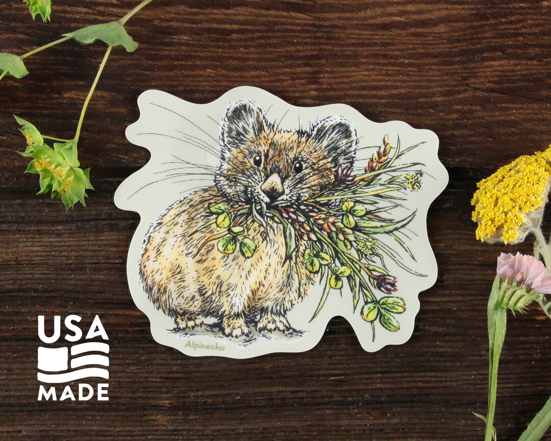 Pika STICKER / Waterproof Vinyl Backpacking Camping Nalgene Wildlife ...