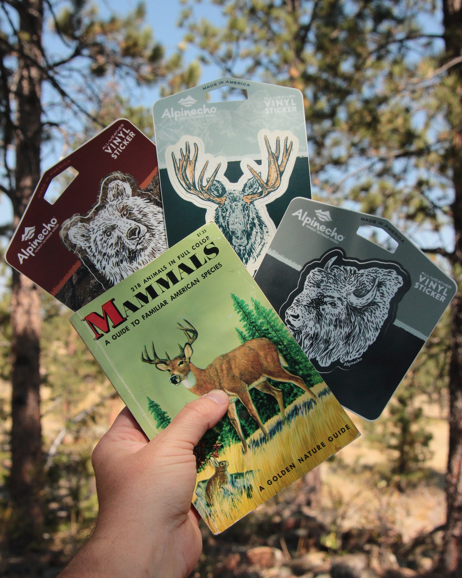 Colorful Colorado STICKER / USA Made Waterproof Rocky Mountain - Etsy