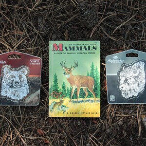 Only the Essentials STICKER / Waterproof Vinyl Backpacking Camping Water Bottle Laptop Funny ...