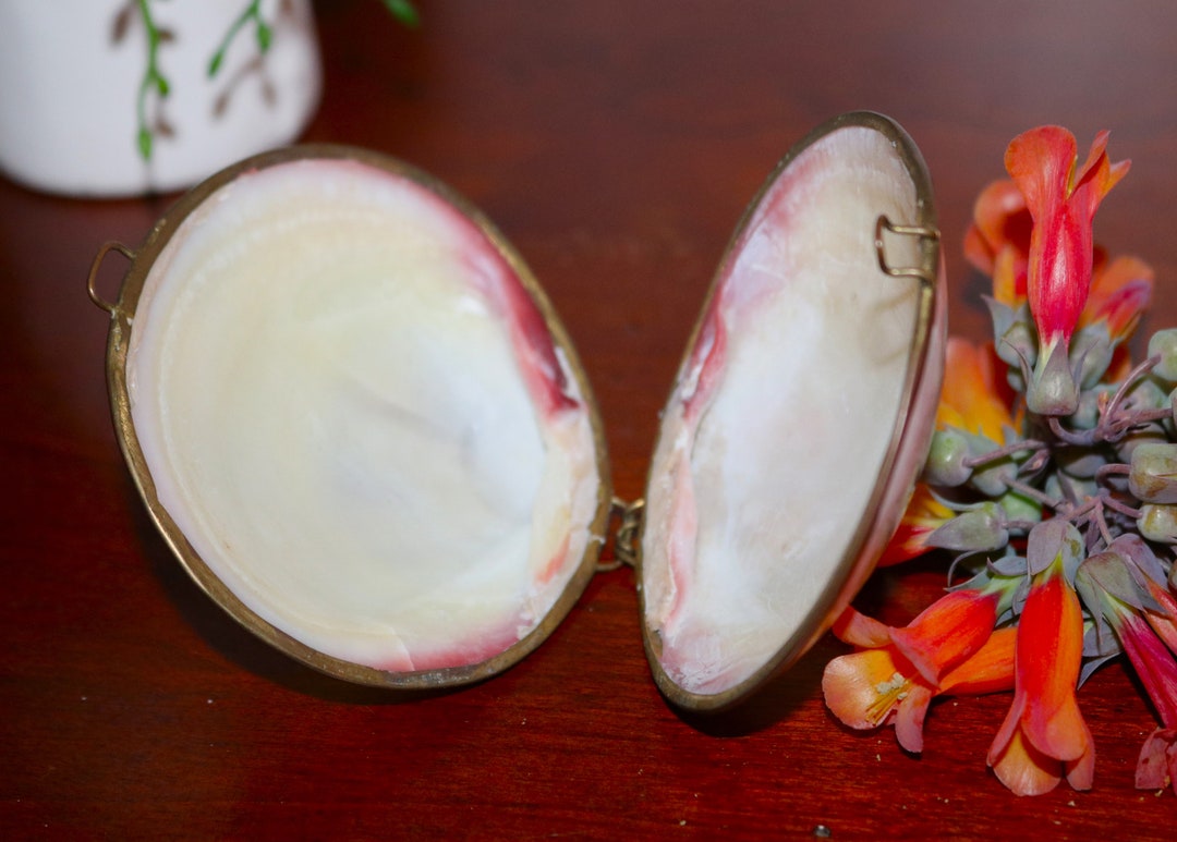 Vintage Oyster Clam Shell Trinket Box Brass Accents With Clasp 1970s ...