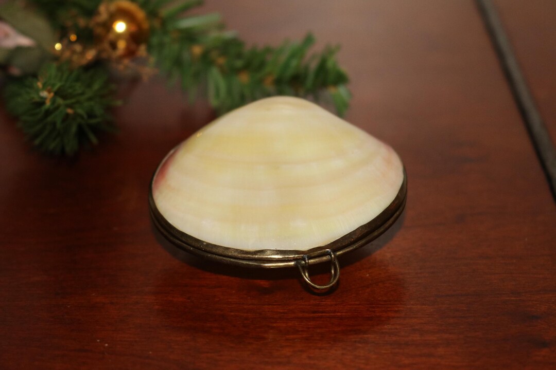 Vintage Oyster Clam Shell Trinket Box Brass Accents With Clasp 1930s ...