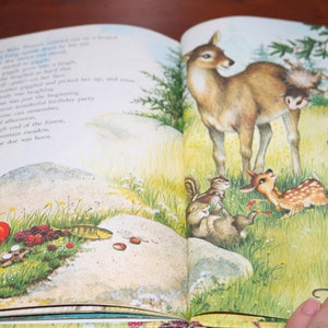 Vintage Children's Book the Baby Animals Party Lisa Mccue 1980s ...