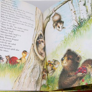 Vintage Children's Book the Baby Animals Party Lisa Mccue 1980s ...