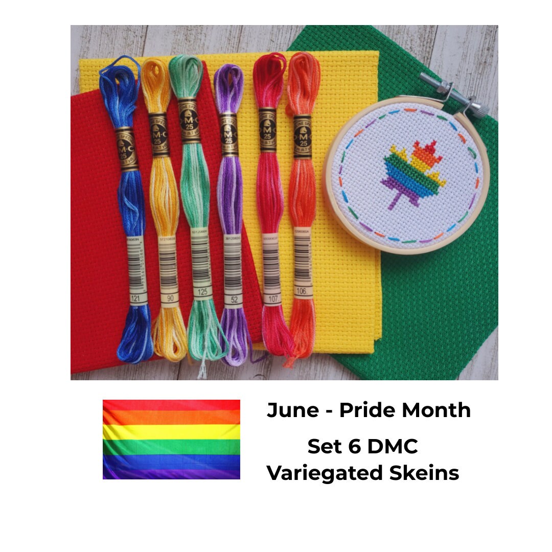 6x DMC Variegated PRIDE Colors, Dmc Flosses, Dmc Threads,dmc Kit, Dmc ...