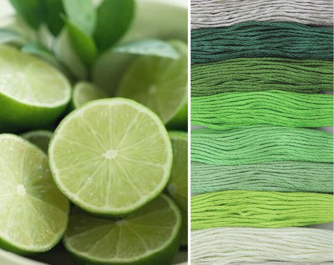 Kit 10 Skeins LIME GREEN Embroidery Floss 6 Strands, Cross Stitch ...