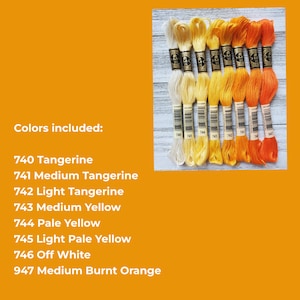 8x Orange DMC Flosses, Dmc Threads, DMC Kit, Dmc Set of Colors, Dmc ...