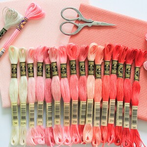 20x DMC Flosses, Dmc Threads, DMC Kit, Dmc Set of Colors, Dmc Cotton ...