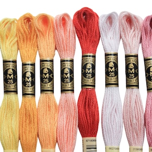 20x Botanicals DMC Flosses, Dmc Threads, DMC Kit, Dmc Set of Colors ...