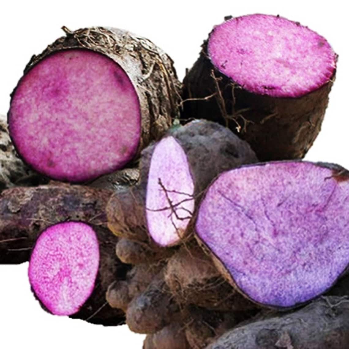 Indonesia Natural 200gr 2000gr FRESH PURPLE YAM Dioscorea | Etsy