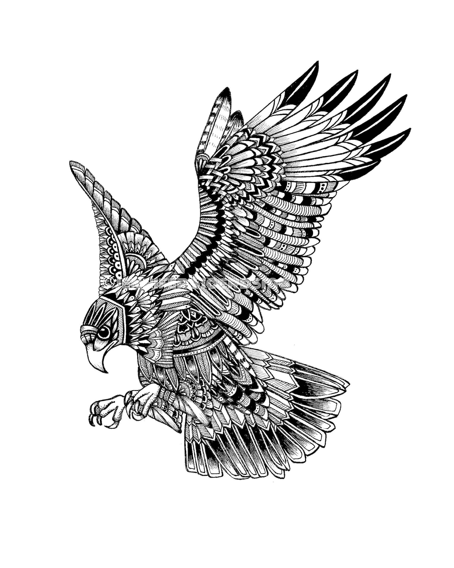 Hawk Print - Ink Drawing - Nature Artwork - Black and White Animals ...