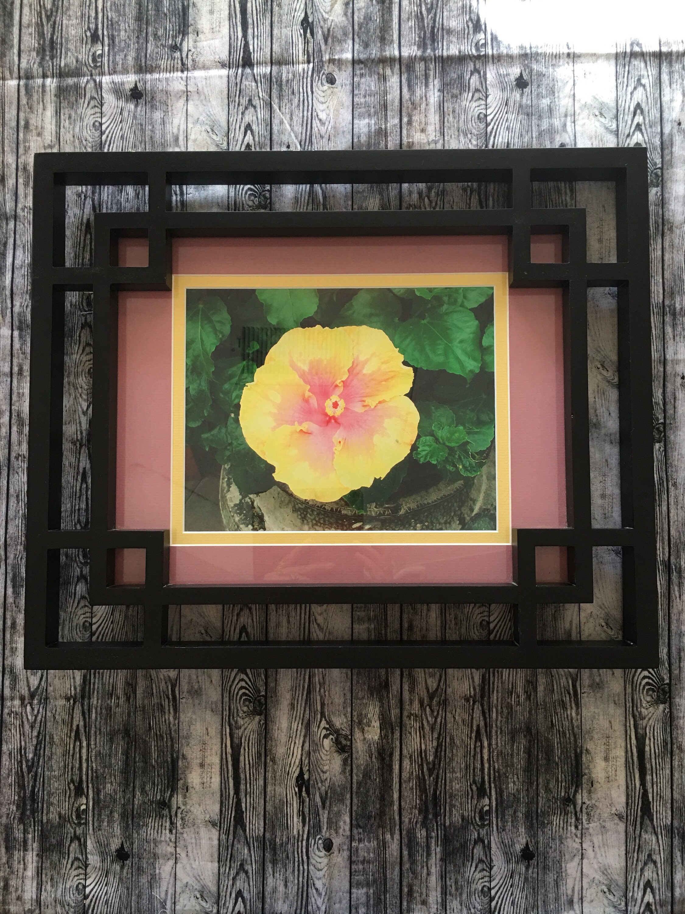 Pink and Yellow Hibiscus Framed Photo. - Etsy