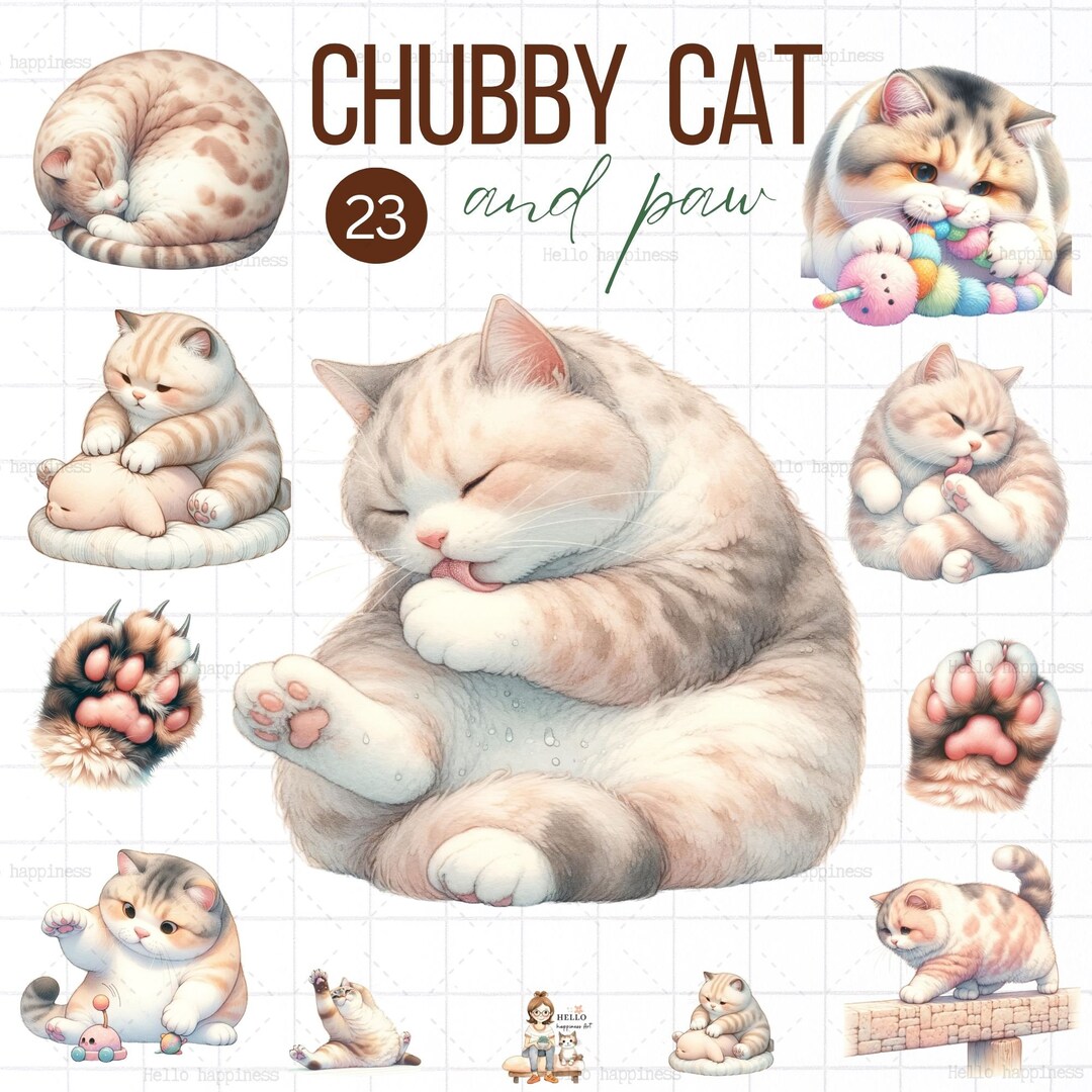 Chubby Cat, Cute Cat PNG, Cat Clipart, Little Cat, Anmial ,watercolor ...