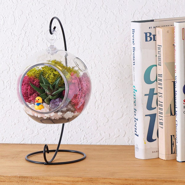 Terrarium Stand - Etsy