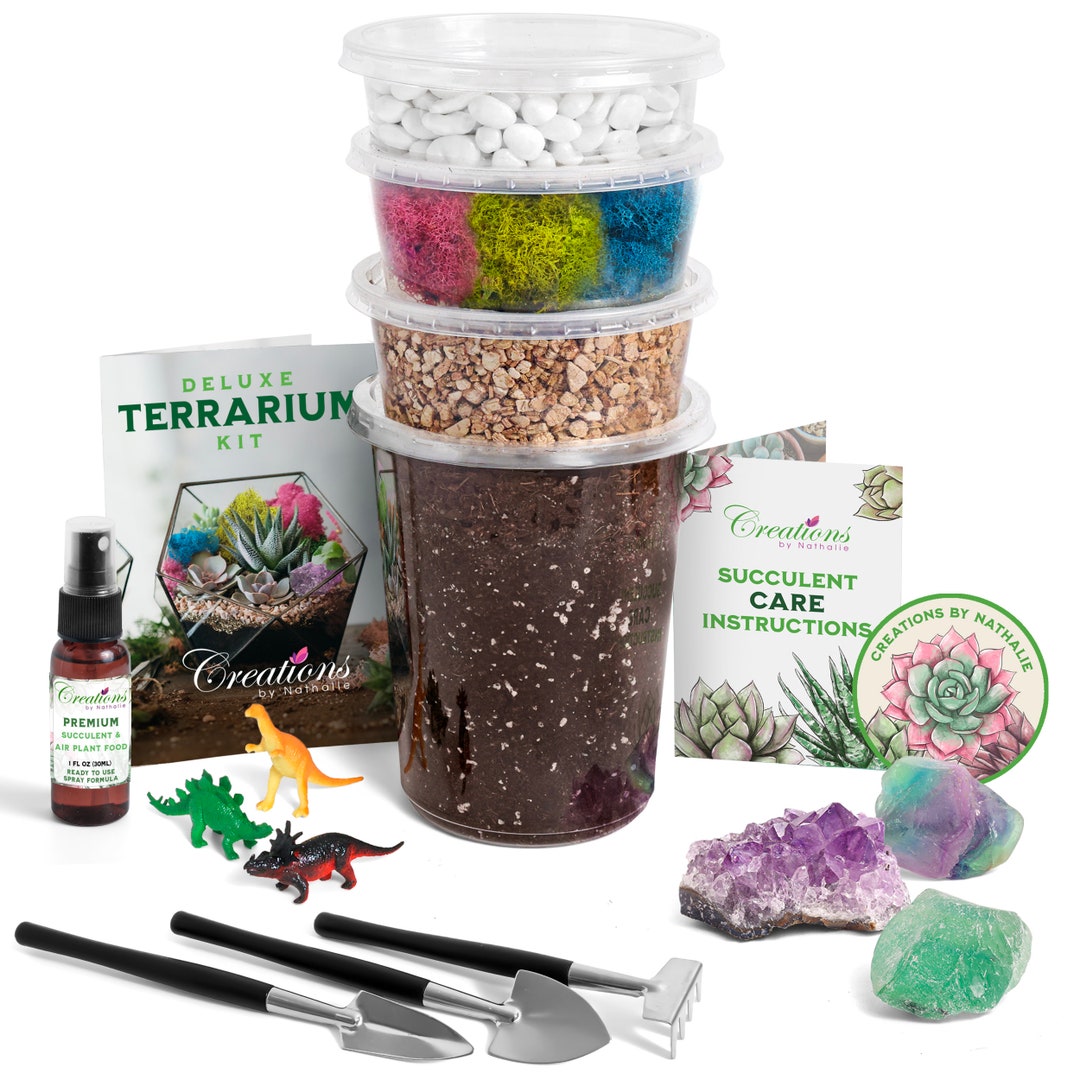 Creations by Nathalie – DIY Large Terrarium Starter Kit With Soil, Moss ...