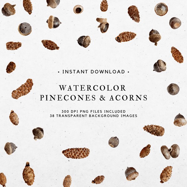 Acorn Clipart - Etsy