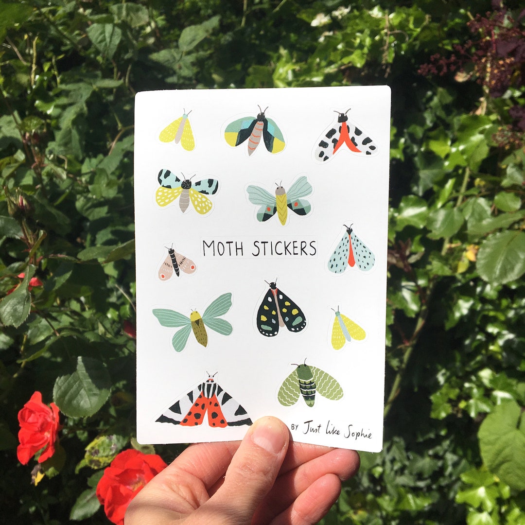 Moth Stickers - Sheet of Moth Stickers Illustrated by Just Like Sophie ...