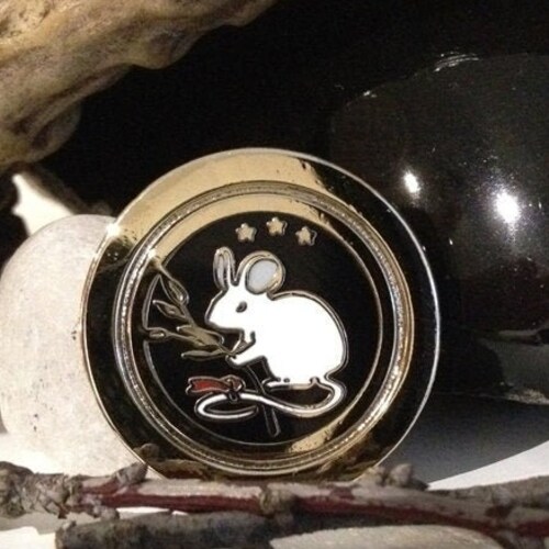 A Tiny Wizard Mouse Enamel Pin - Etsy