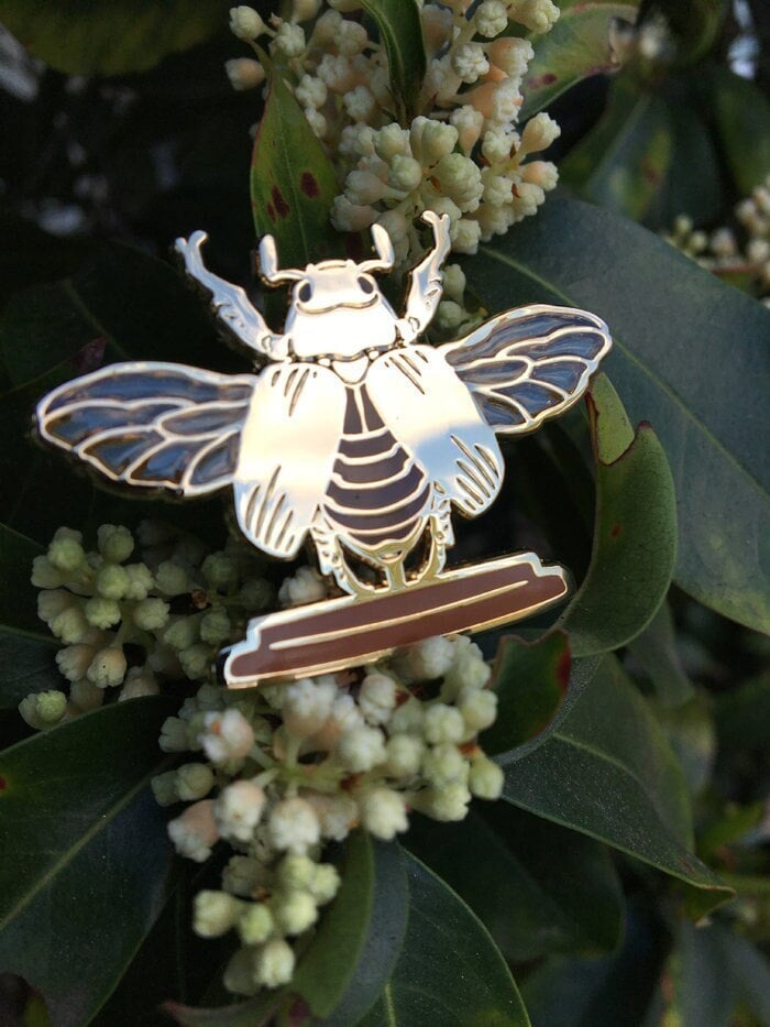 Golden Jewel Scarab Beetle Specimen Series 2 Collectable - Etsy