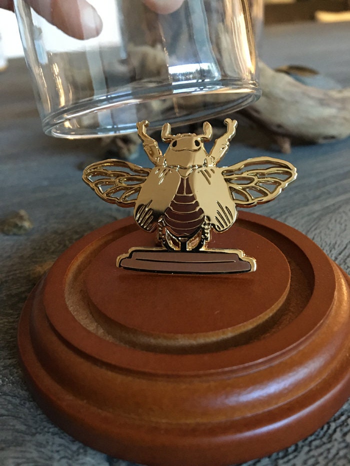 Golden Jewel Scarab Beetle Specimen Series 2 Collectable - Etsy