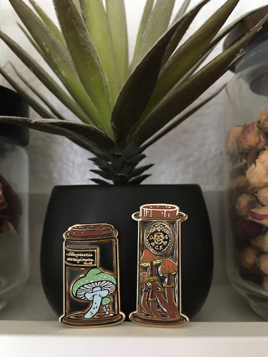 Apothecary Jar Poisonous Mushroom Series 2 Collectable | Etsy