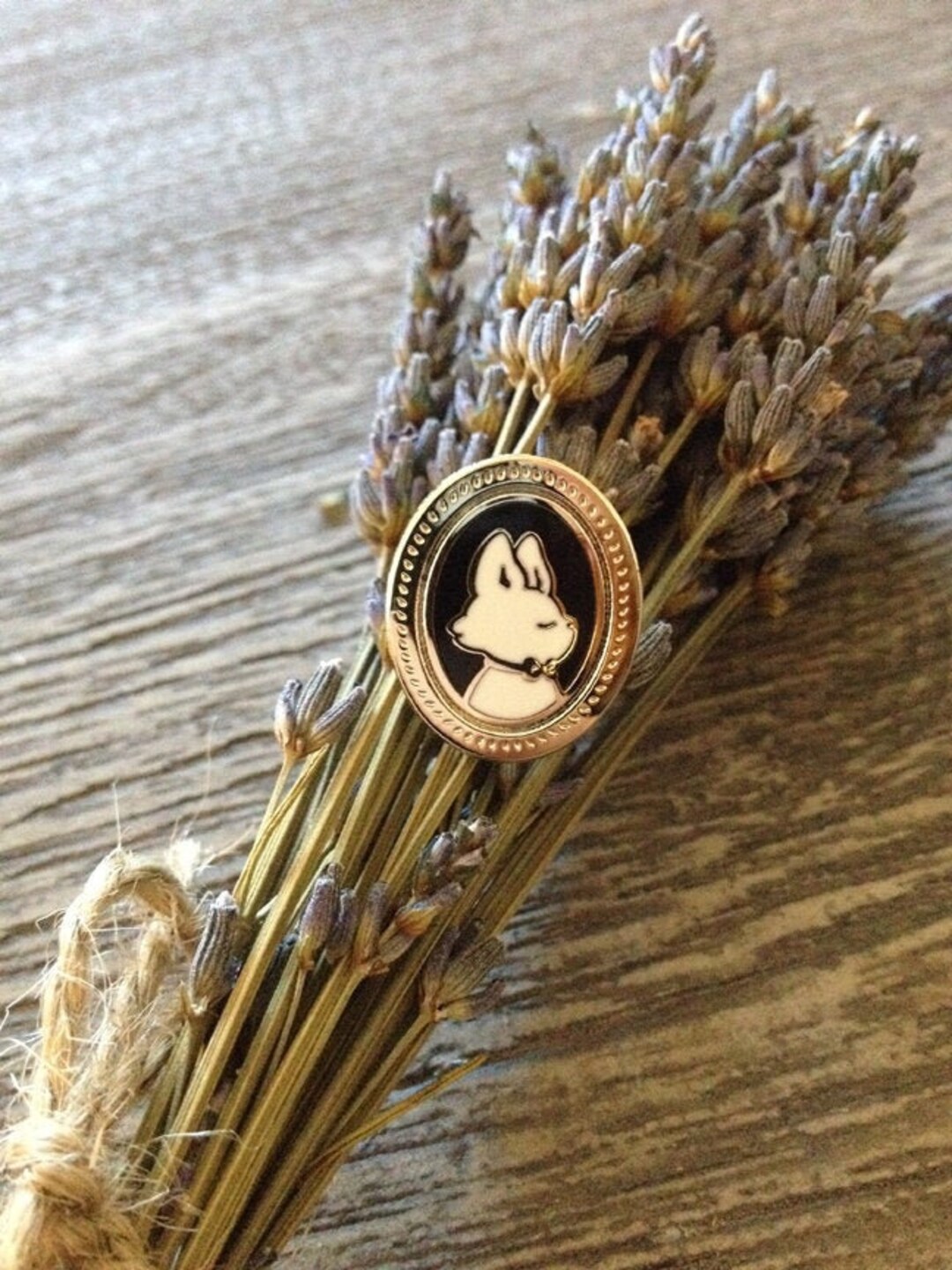 Small Portrait of a Fennec Fox - Series 1 - Collectable Enamel Pin - Etsy