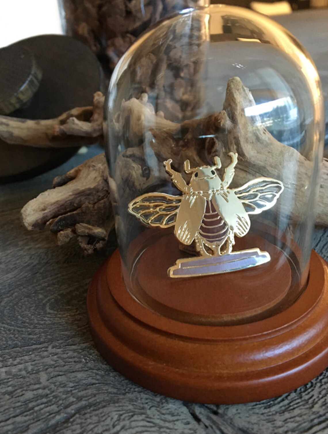 Golden Jewel Scarab Beetle Specimen Series 2 Collectable | Etsy