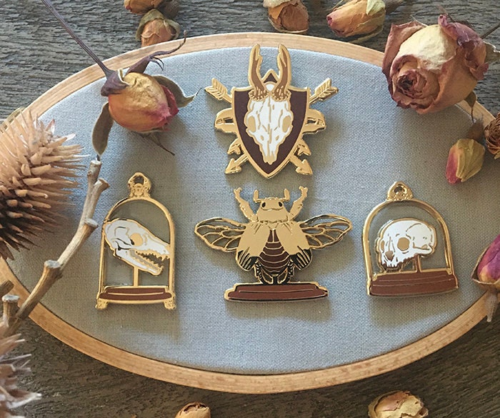 Golden Jewel Scarab Beetle Specimen Series 2 Collectable | Etsy