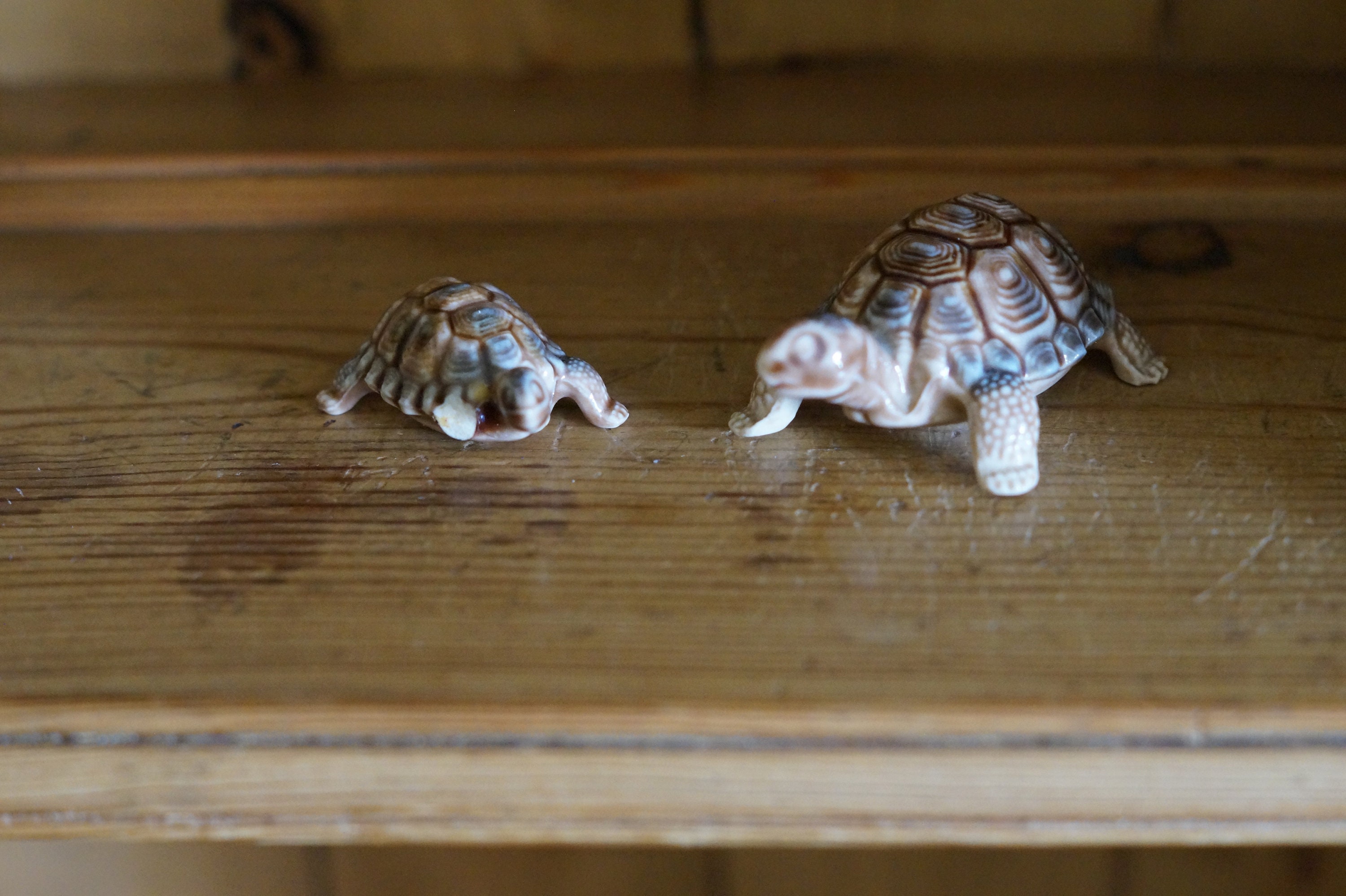 Vintage Original Wade Baby Tortoises Circa 1950 1960's - Etsy