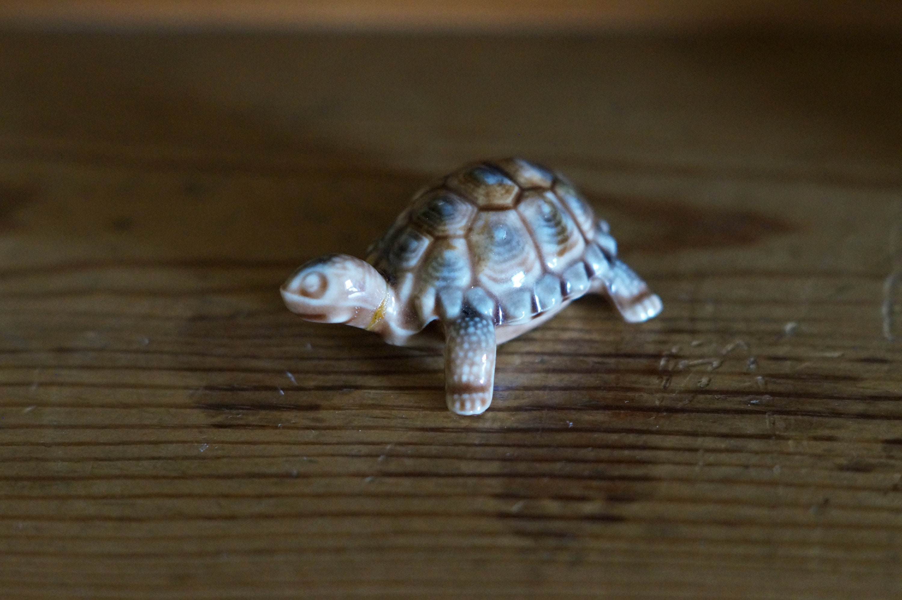 Vintage Original Wade Baby Tortoises Circa 1950 1960's - Etsy