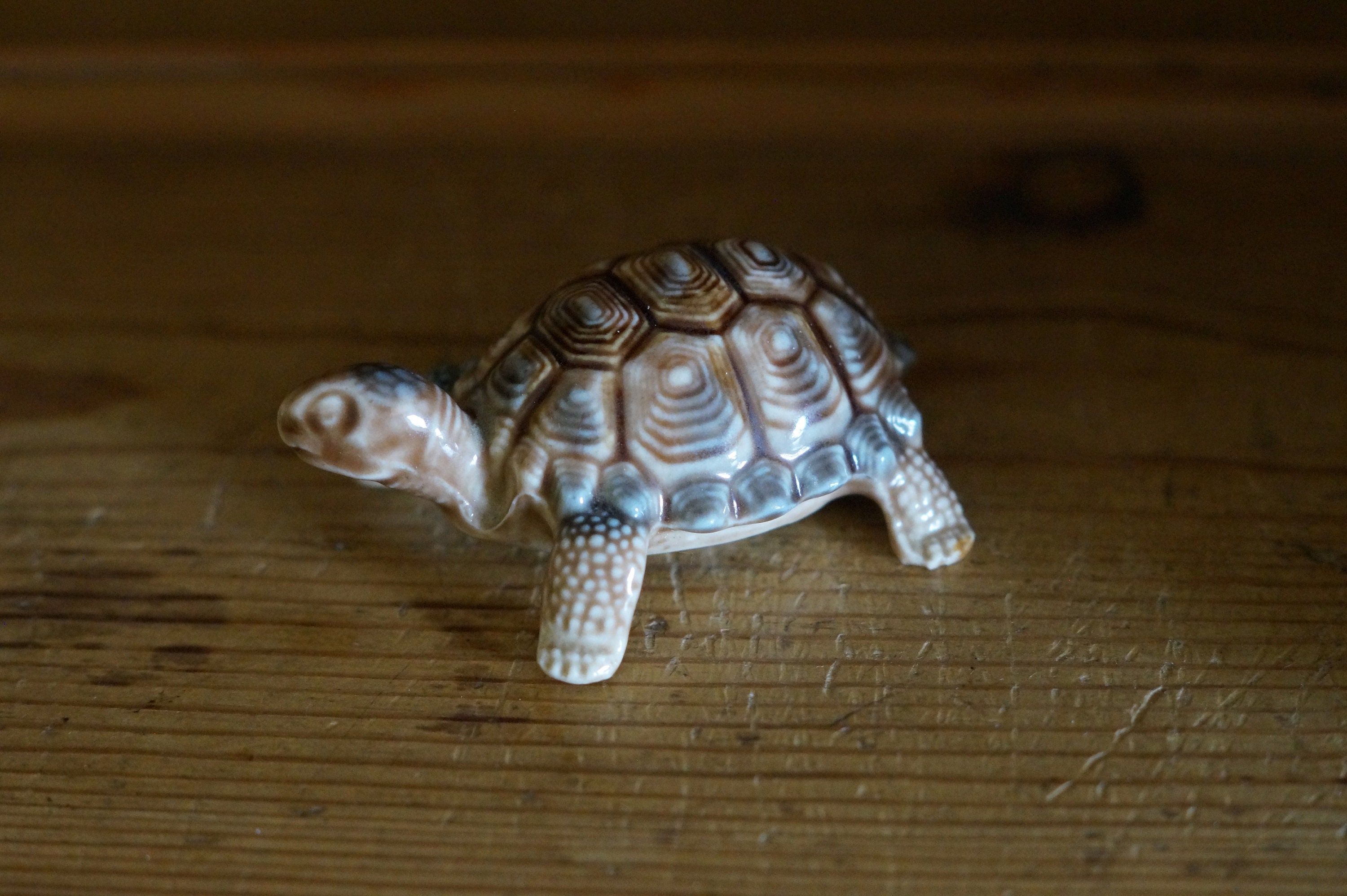 Vintage Original Wade Baby Tortoises Circa 1950 1960's - Etsy